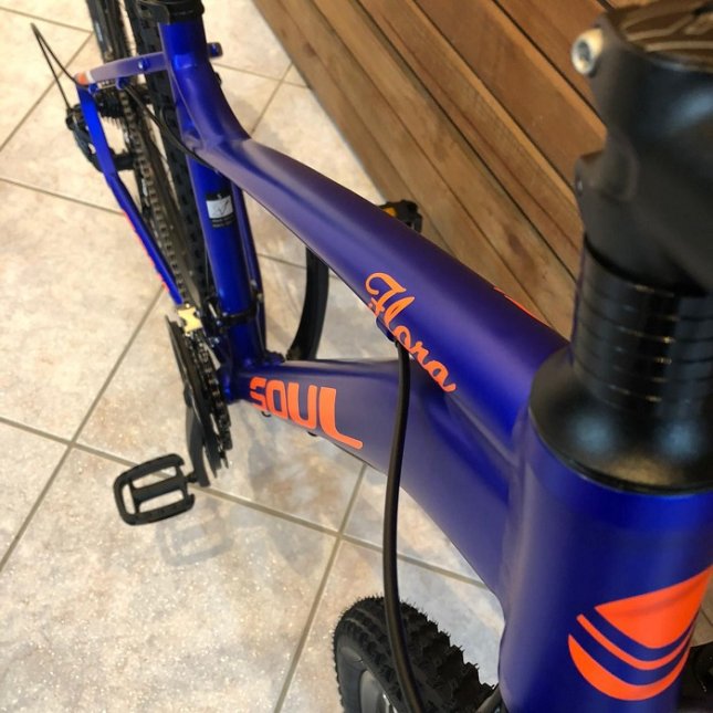 Comprar Bicicleta Flora Microshift 24v - Soul Cycles | BP Bike Shop