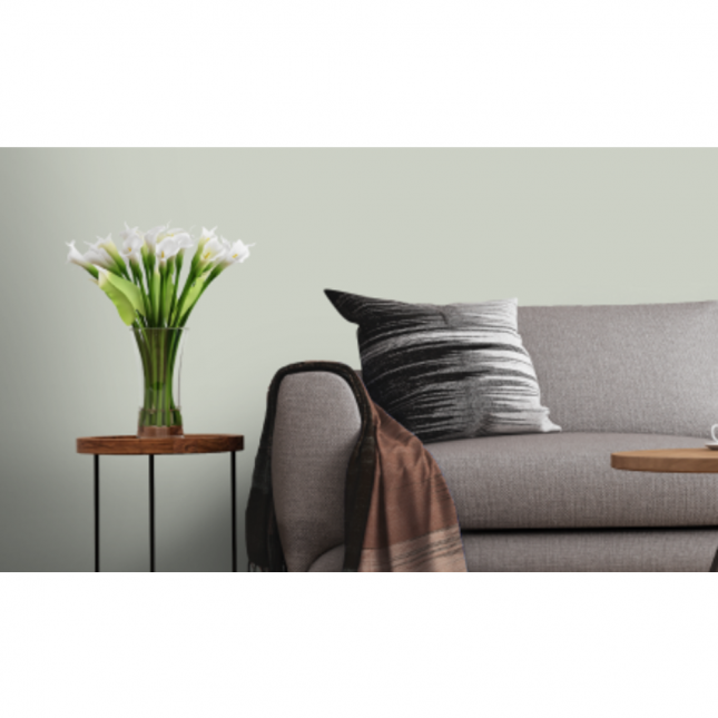 Tinta Acrílica Branco Gelo Fosco Standard 3,6l - Delanil Iquine