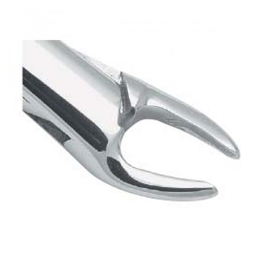 FÓRCEPS ADULTO N° 150 - GOLGRAN (C/ 01UN)