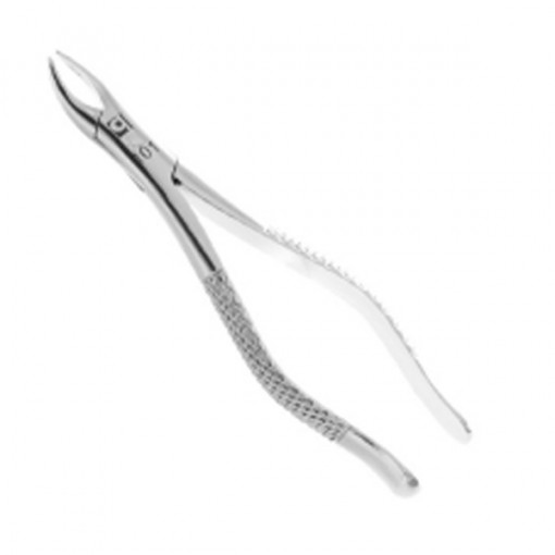 Fórceps Adulto Y Especiales Para Dientes Temporales 6b, 53% OFF