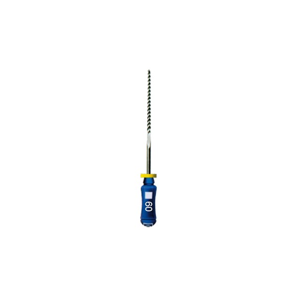 LIMA TIPO K 21MM - N° 60 MAILLEFER - DENTSPLY (C/ 06UN)