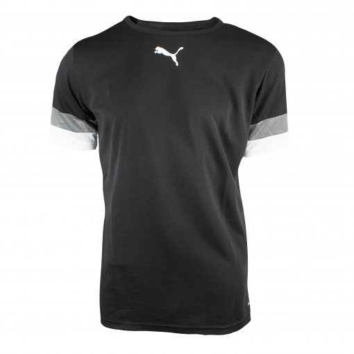 Camiseta Puma Team Rise Jersey Masculina