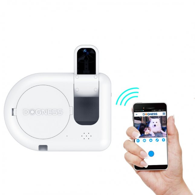 Mini Robô Encantador para pets - Dogness