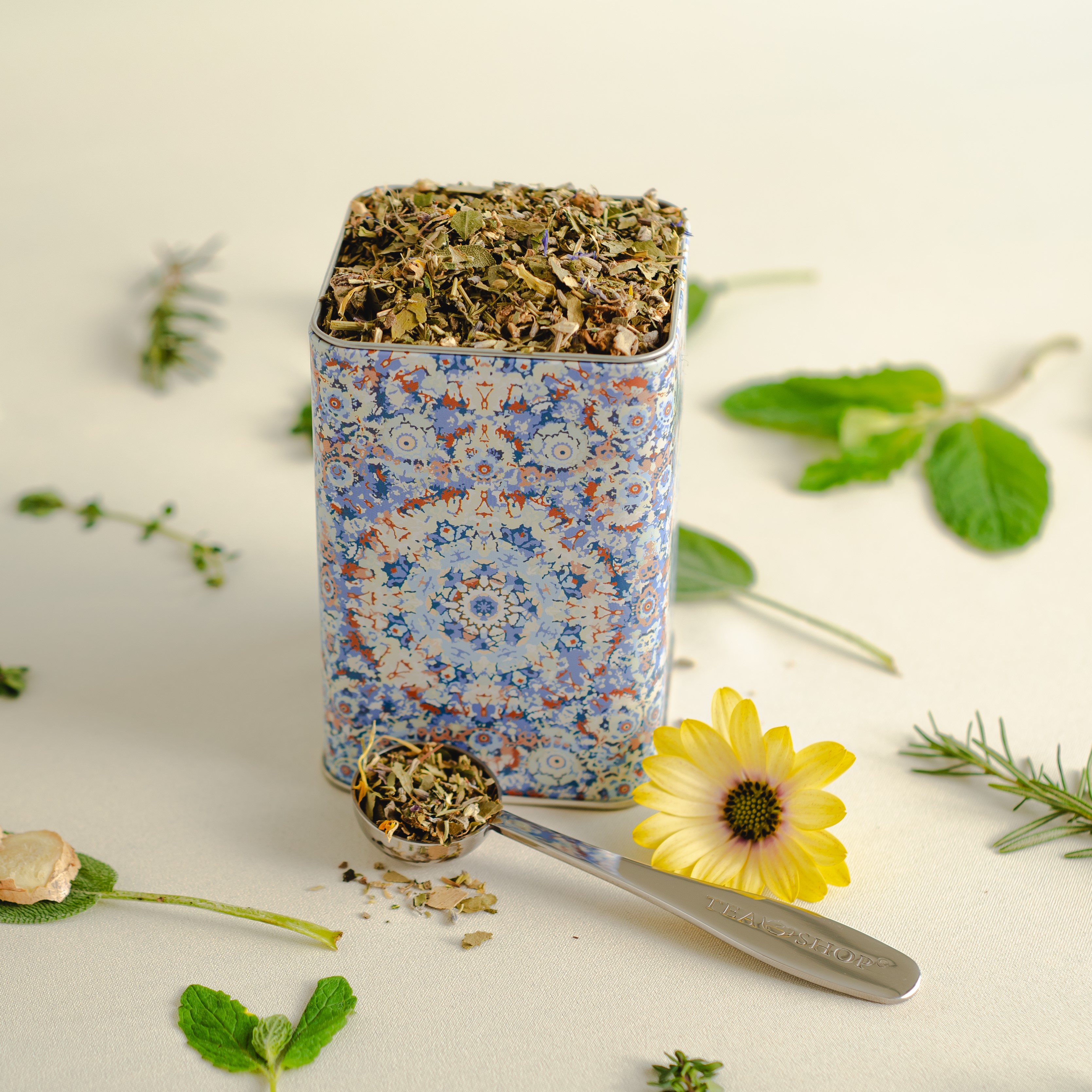 SUPER WELLNESS: Conheça a infusão que reúne 17 ervas naturais repletas ... SUPER WELLNESS: Conheça a infusão que reúne 17 ervas naturais repletas ...